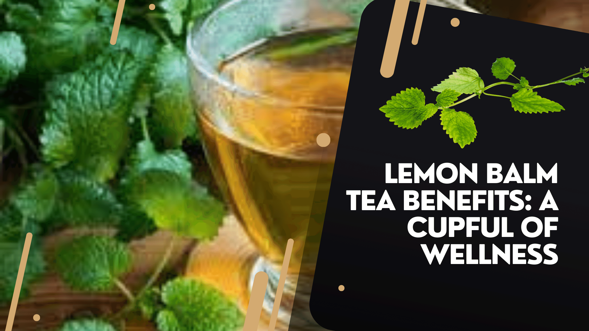 Lemon Balm Tea Benefits: A Cupful of Wellness - Am2pm.pk